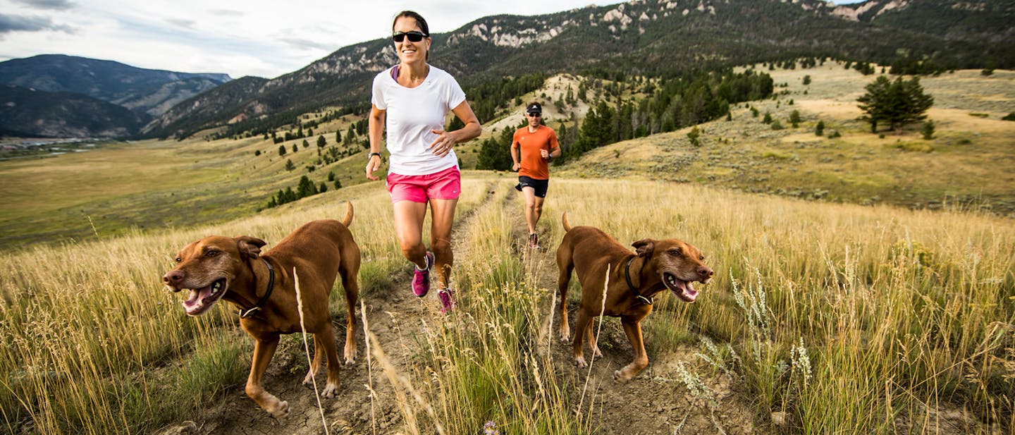 The Three Progressive Stages Of Heat-related Illness In Dogs