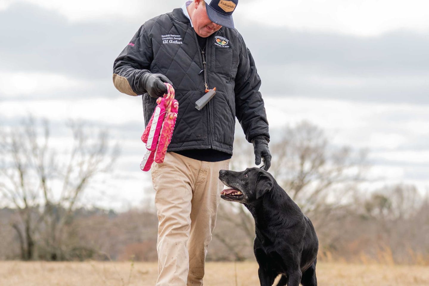 How To Help Build Stamina In Gun Dogs