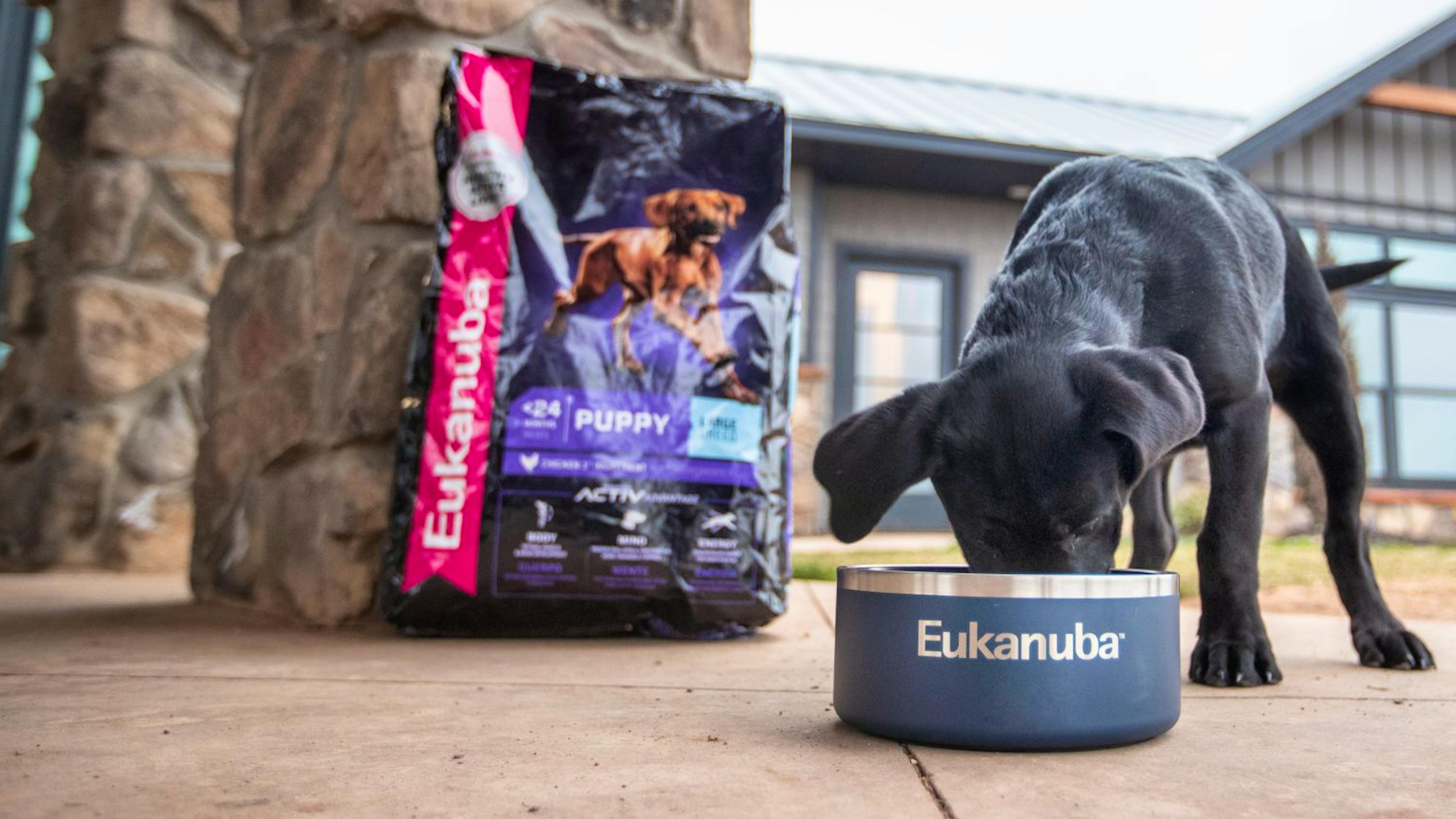 All Products | Active Dog Food | Eukanuba