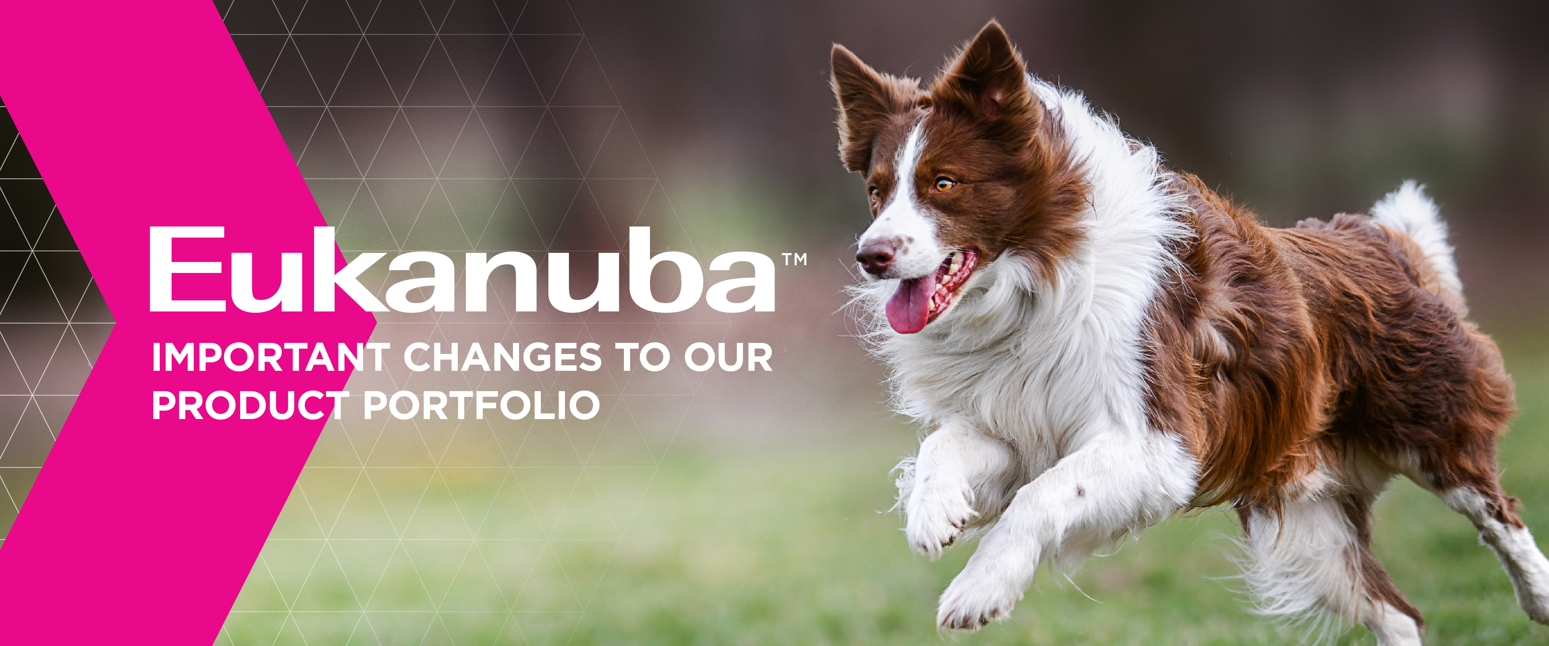 Portfolio Update | Eukanuba ZA